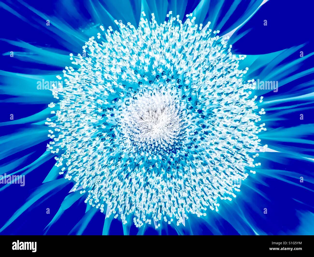 Inverted head hi-res stock photography and images - Alamy