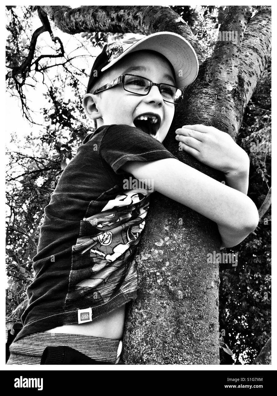 Boy stuck up a tree Stock Photo - Alamy