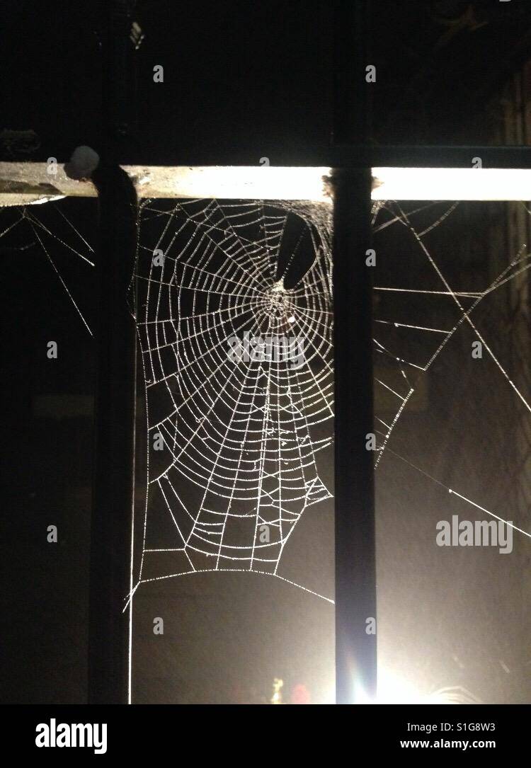 Spiders web gate hi-res stock photography and images - Alamy