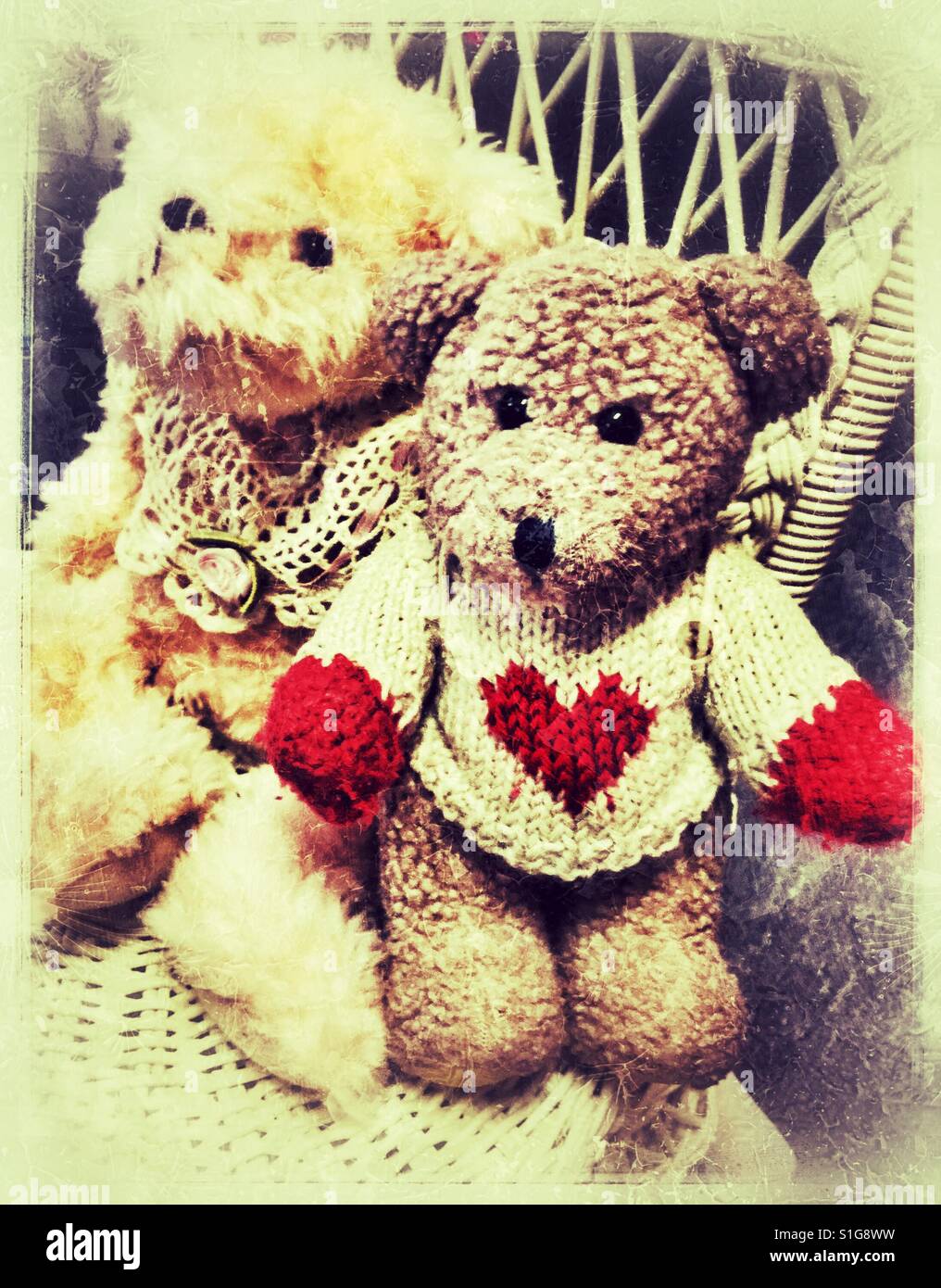 Cute Teddy Bears For Friends