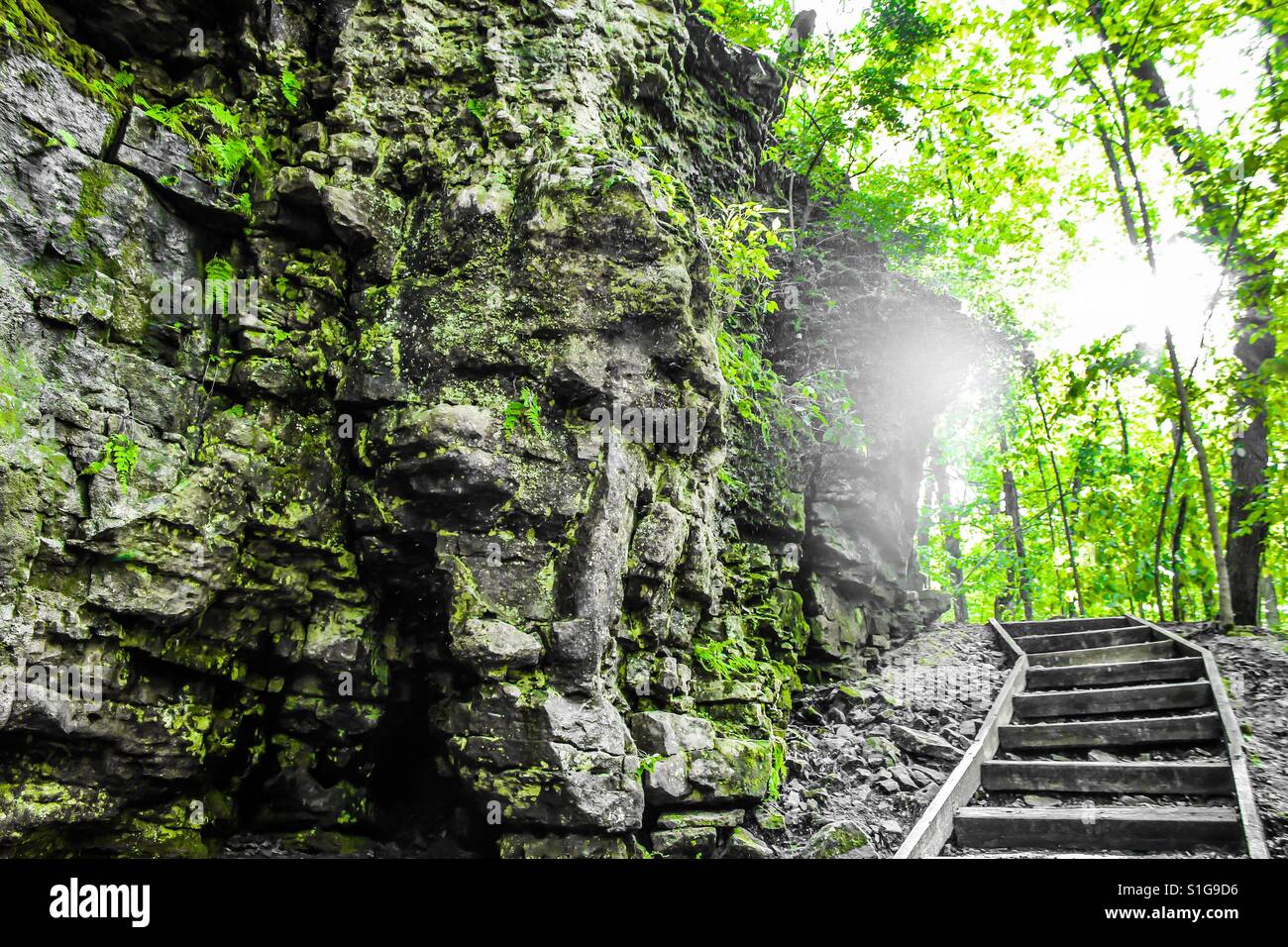 Beautiful nature on a walking path Stock Photo - Alamy