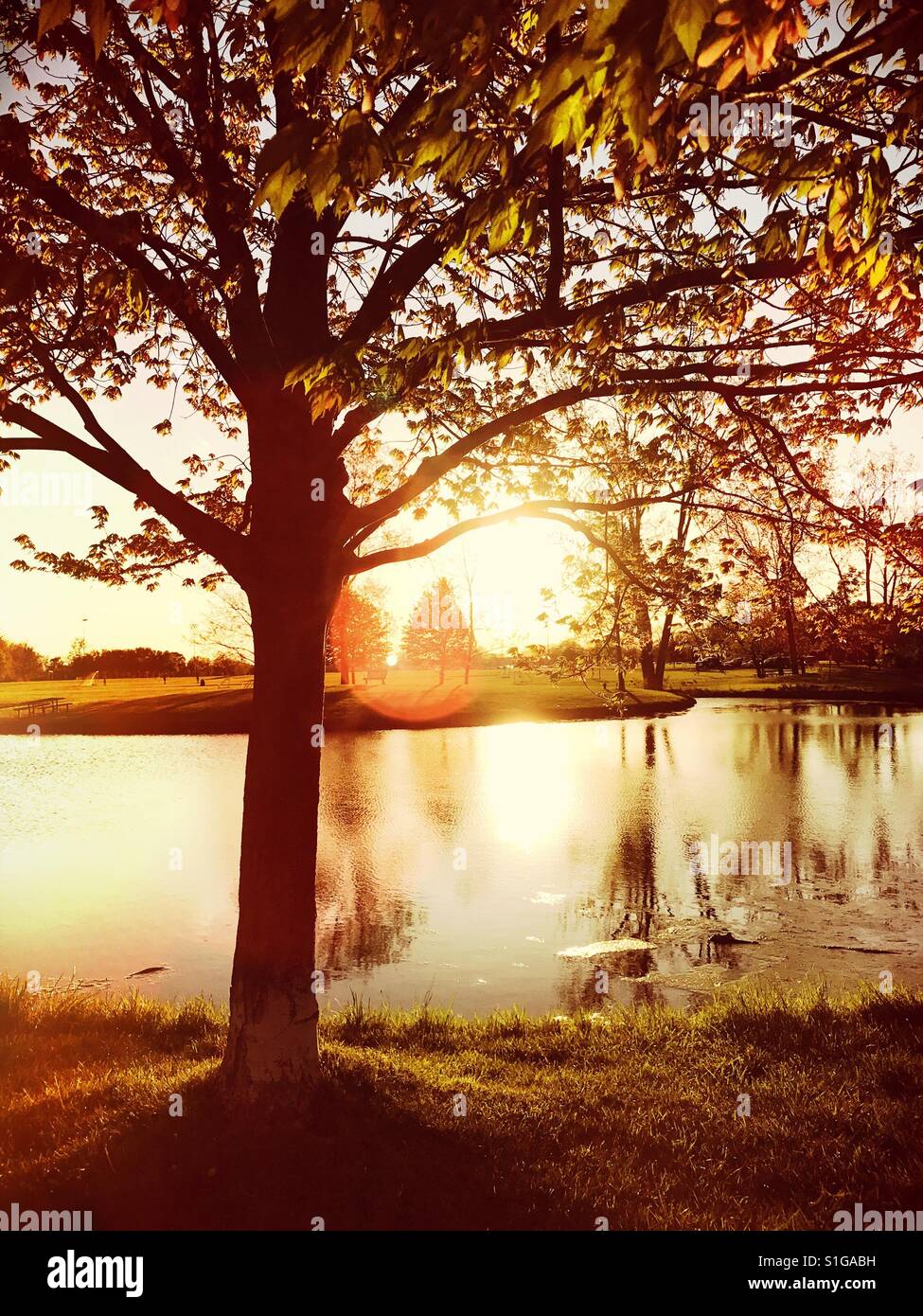 Lake Scene at Dawn Stock Photo - Alamy