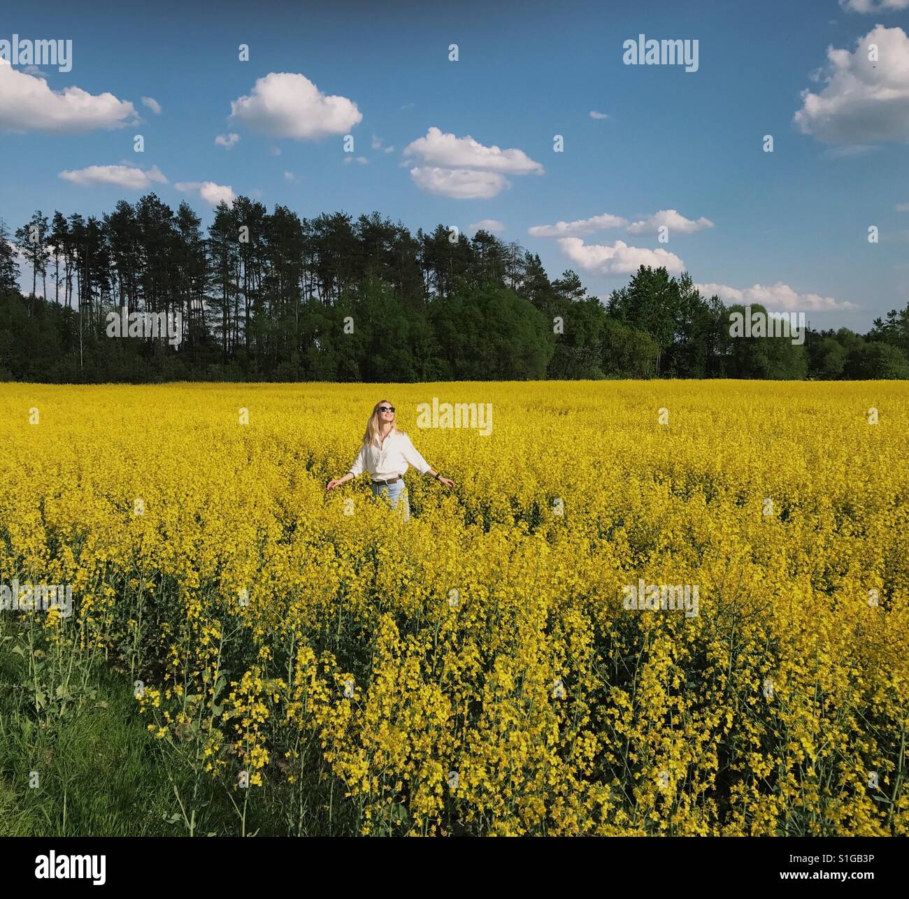 Ukrainian fields hi-res stock photography and images - Alamy
