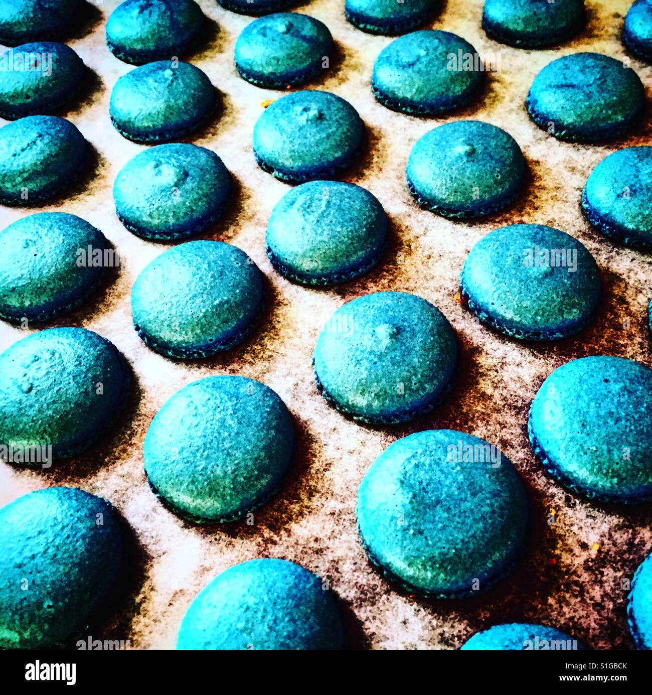 blue macarons just baked Stock Photo - Alamy