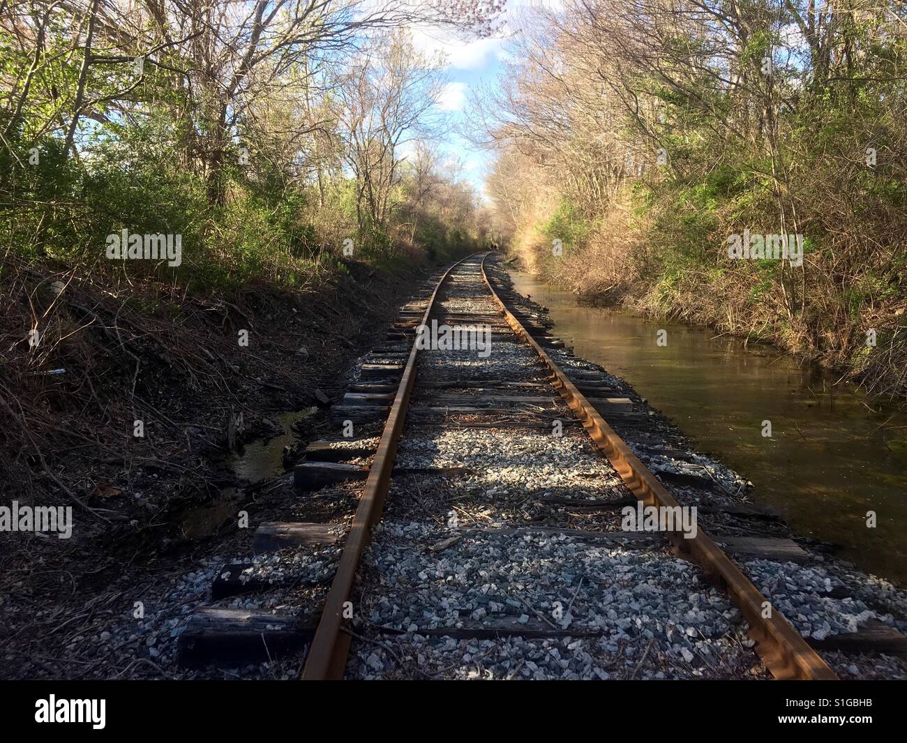 Train and nature hi-res stock photography and images - Alamy