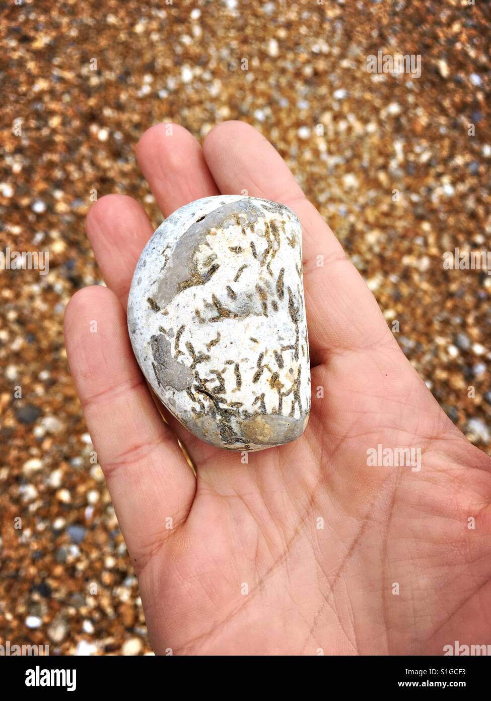 Holding a pebble in hand Stock Photo - Alamy