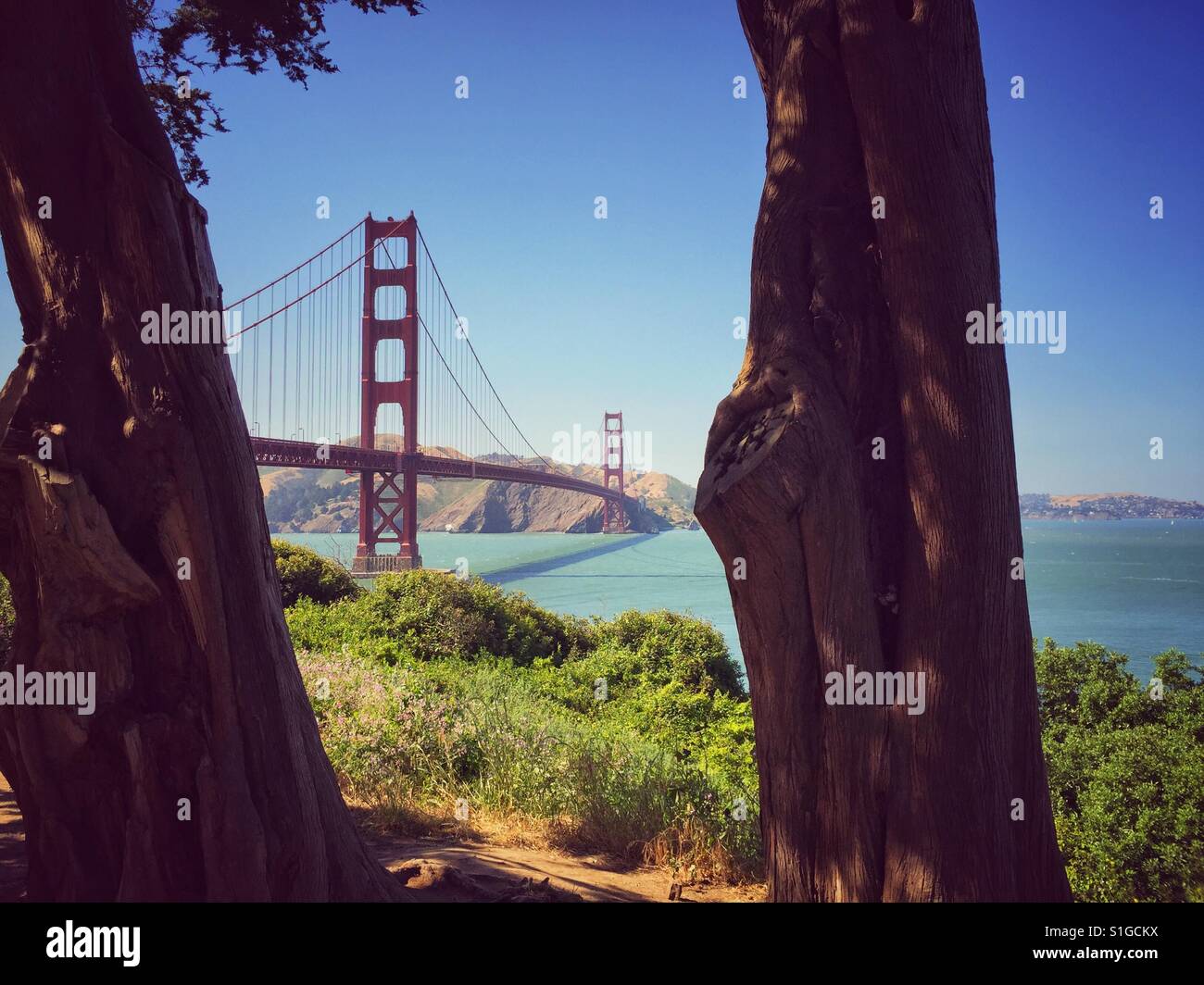 The iconic Golden Gate Bridge in San Francisco, USA Stock Photo - Alamy