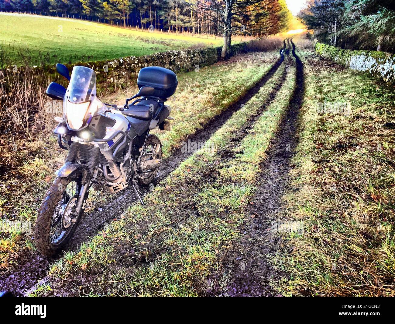 Bike ruts hi-res stock photography and images - Alamy