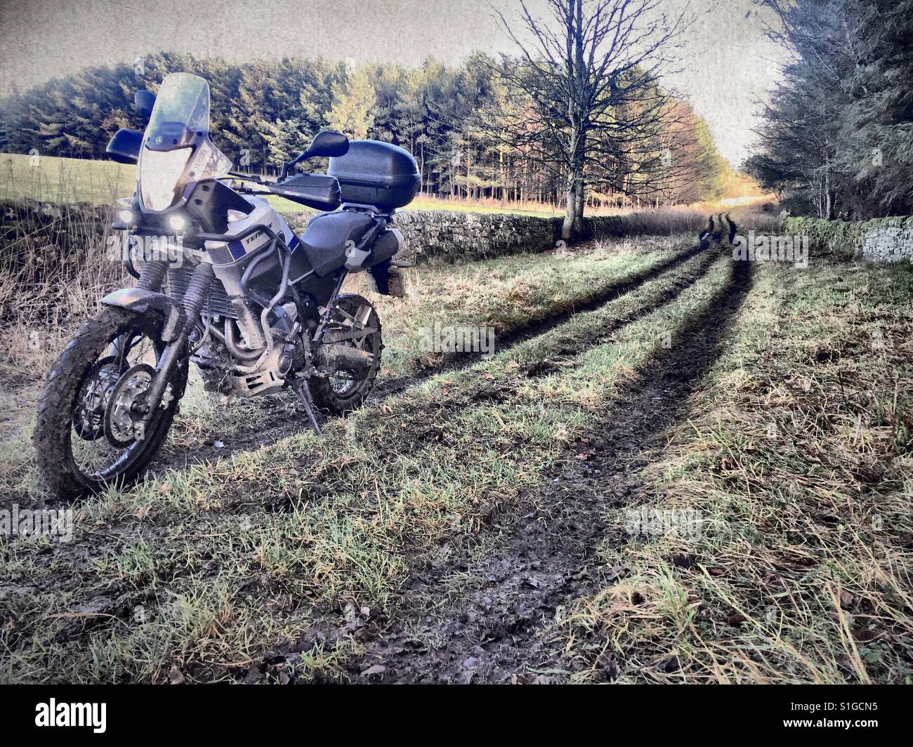 Mud ruts hi-res stock photography and images - Alamy