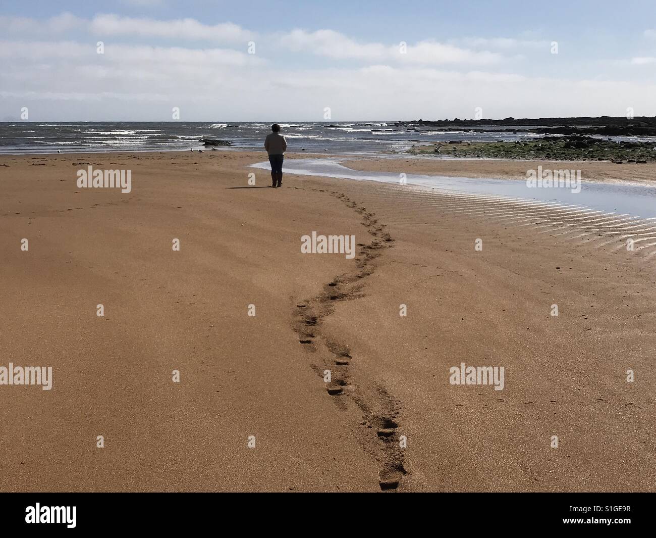 Sea legs hi-res stock photography and images - Alamy
