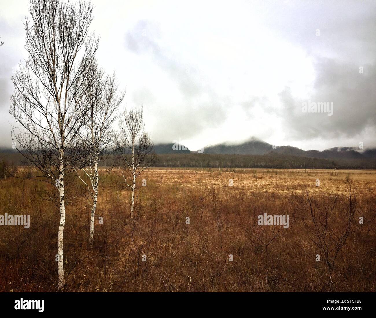 Highland plain hi-res stock photography and images - Alamy