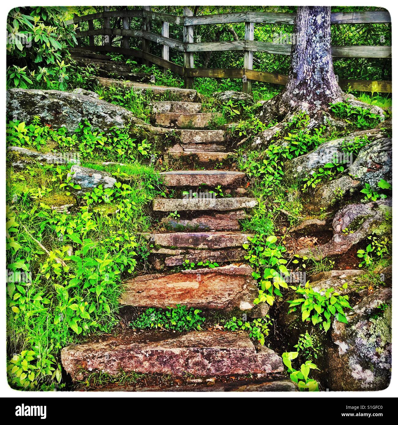 Steps Hillside High Resolution Stock Photography and Images - Alamy