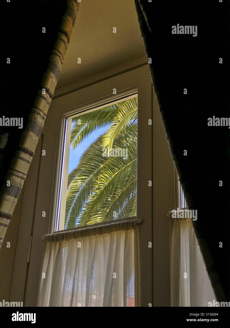 Palm tree window hi-res stock photography and images - Alamy