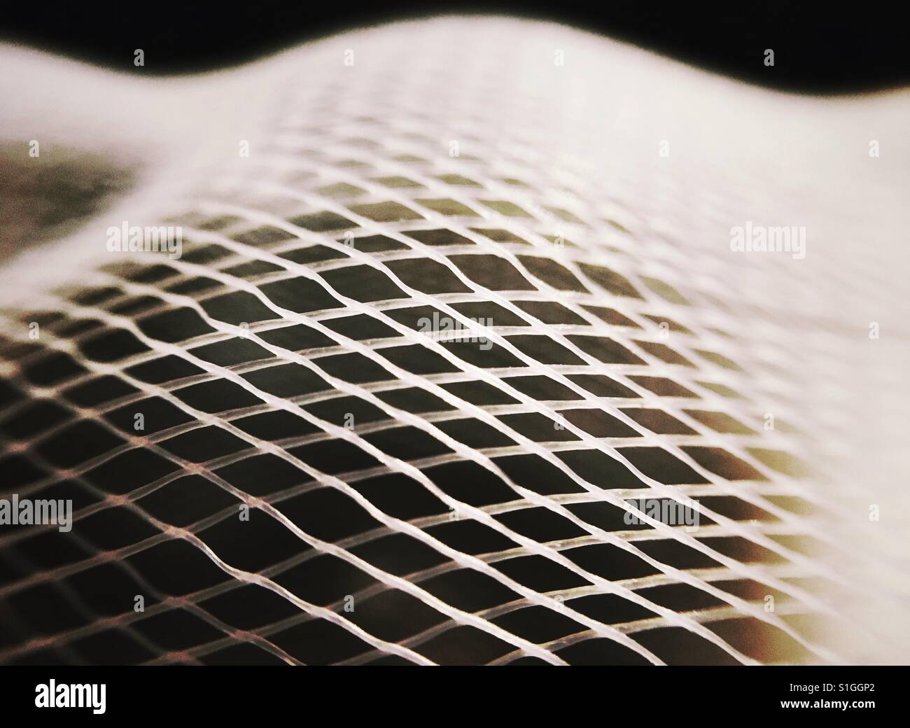 Abstract closeup of a garlic net that holds three bulbs Stock Photo - Alamy