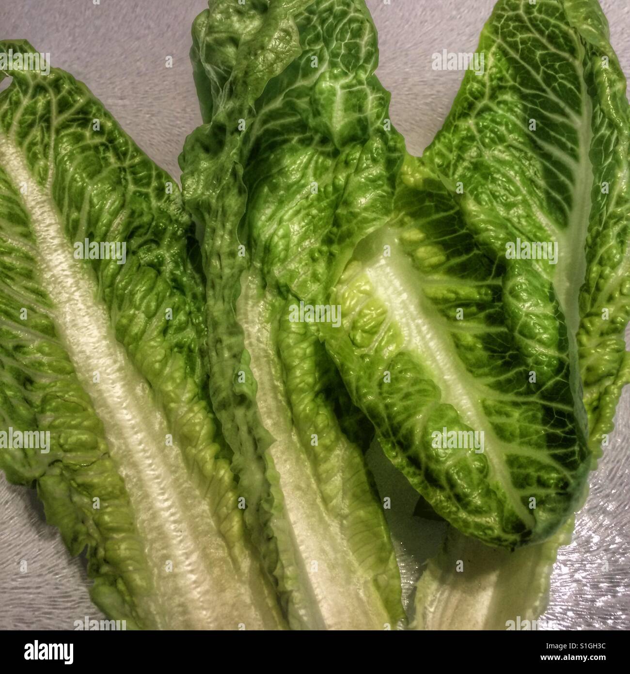 Cos lettuce leaves hi-res stock photography and images - Alamy