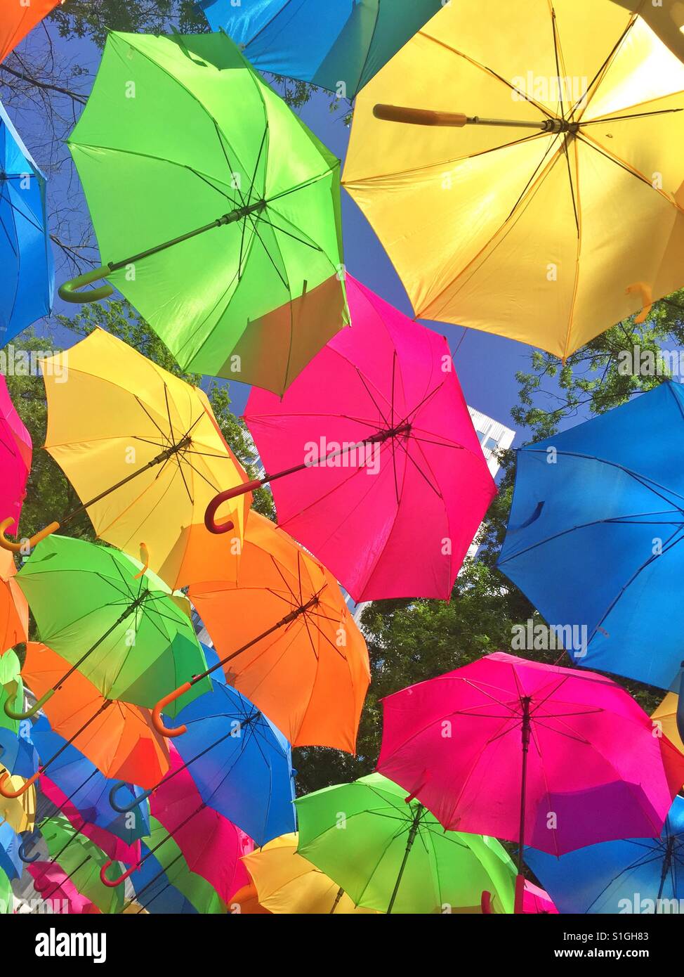 Umbrellas above many hi-res stock photography and images - Alamy