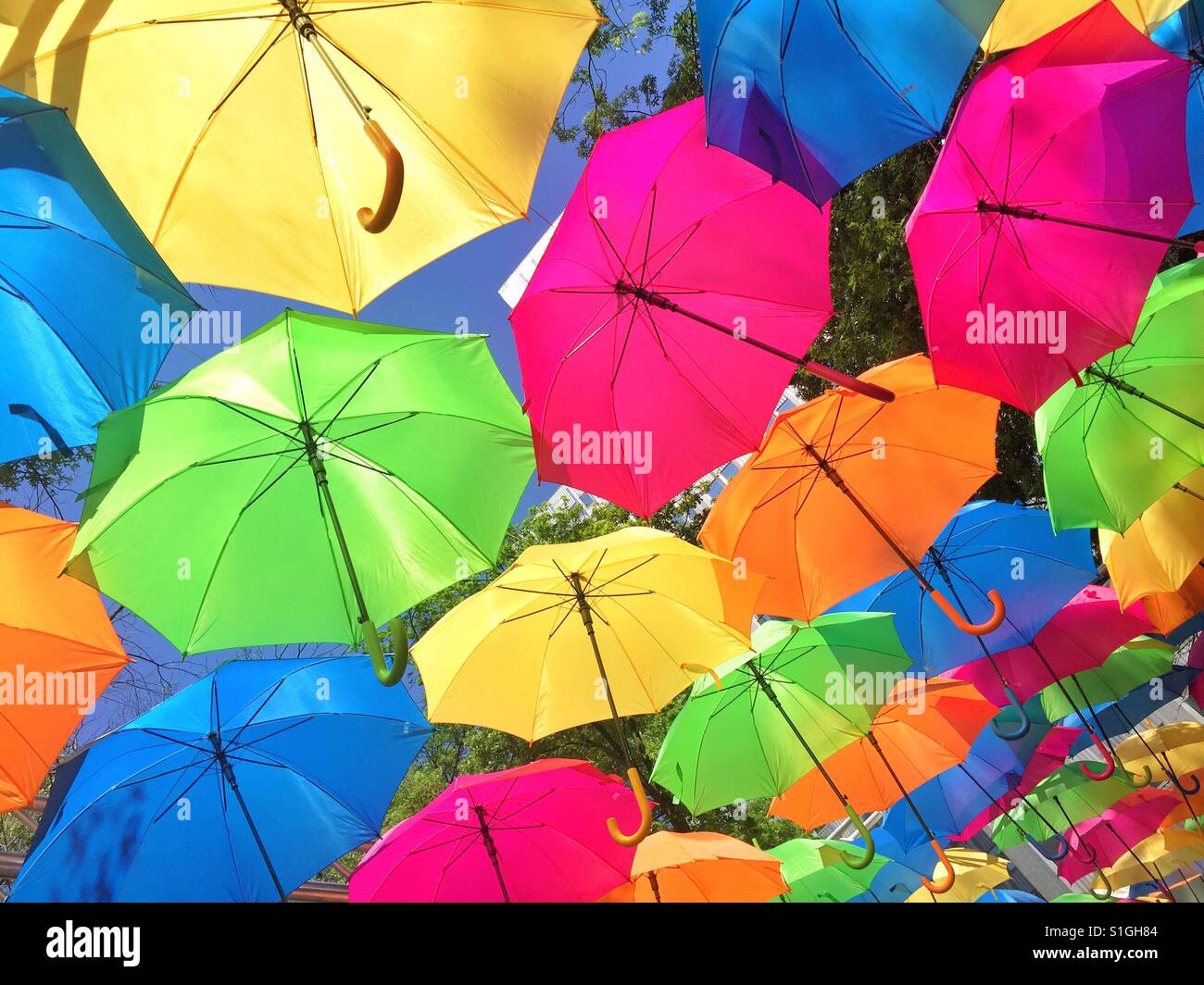 Colorful Umbrellas In The Air