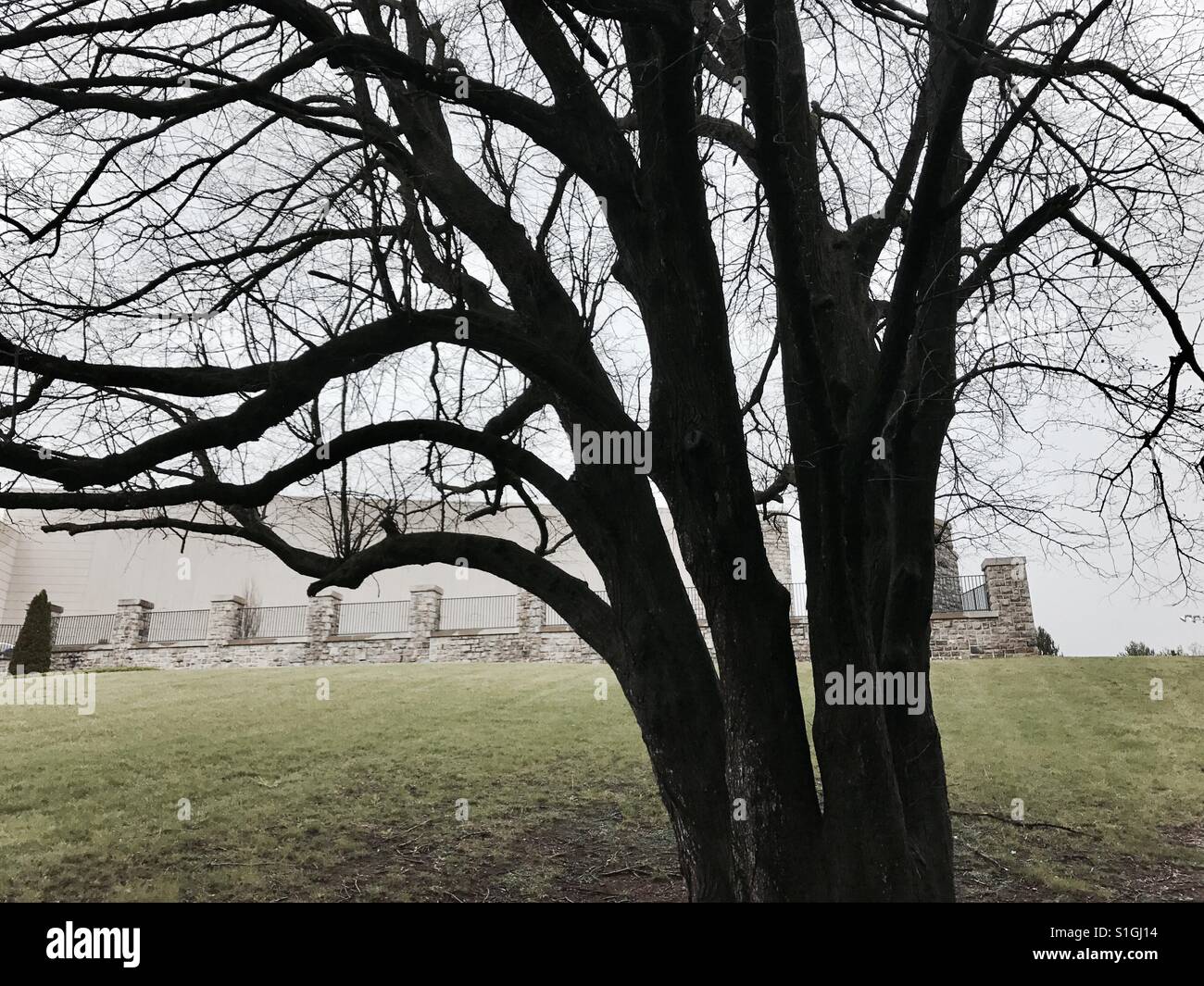 Regret hi-res stock photography and images - Alamy