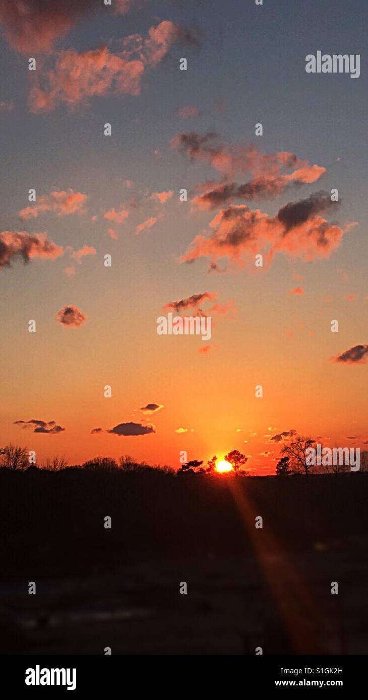 Georgia woods hi-res stock photography and images - Alamy