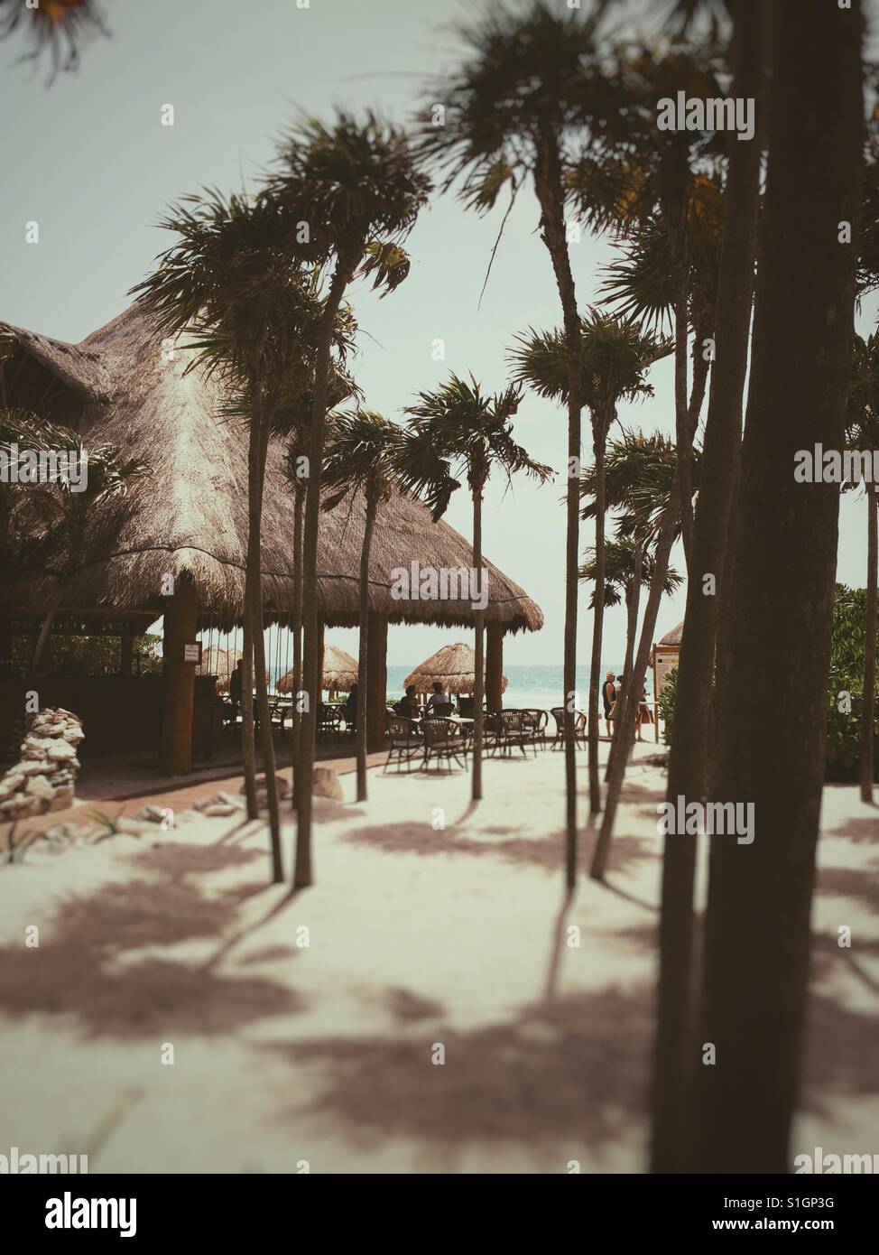 Beach bar mexico hi-res stock photography and images - Alamy