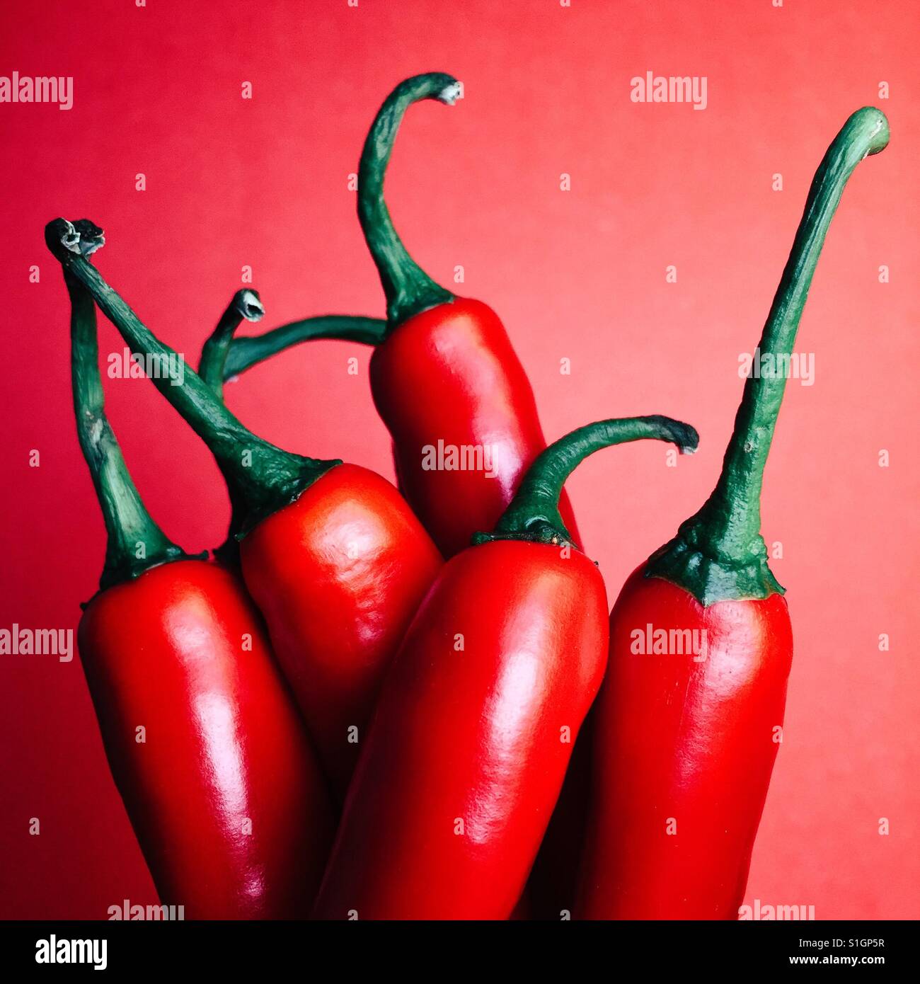 A close-up detail shot of five spicy hot red peppers against a red ...