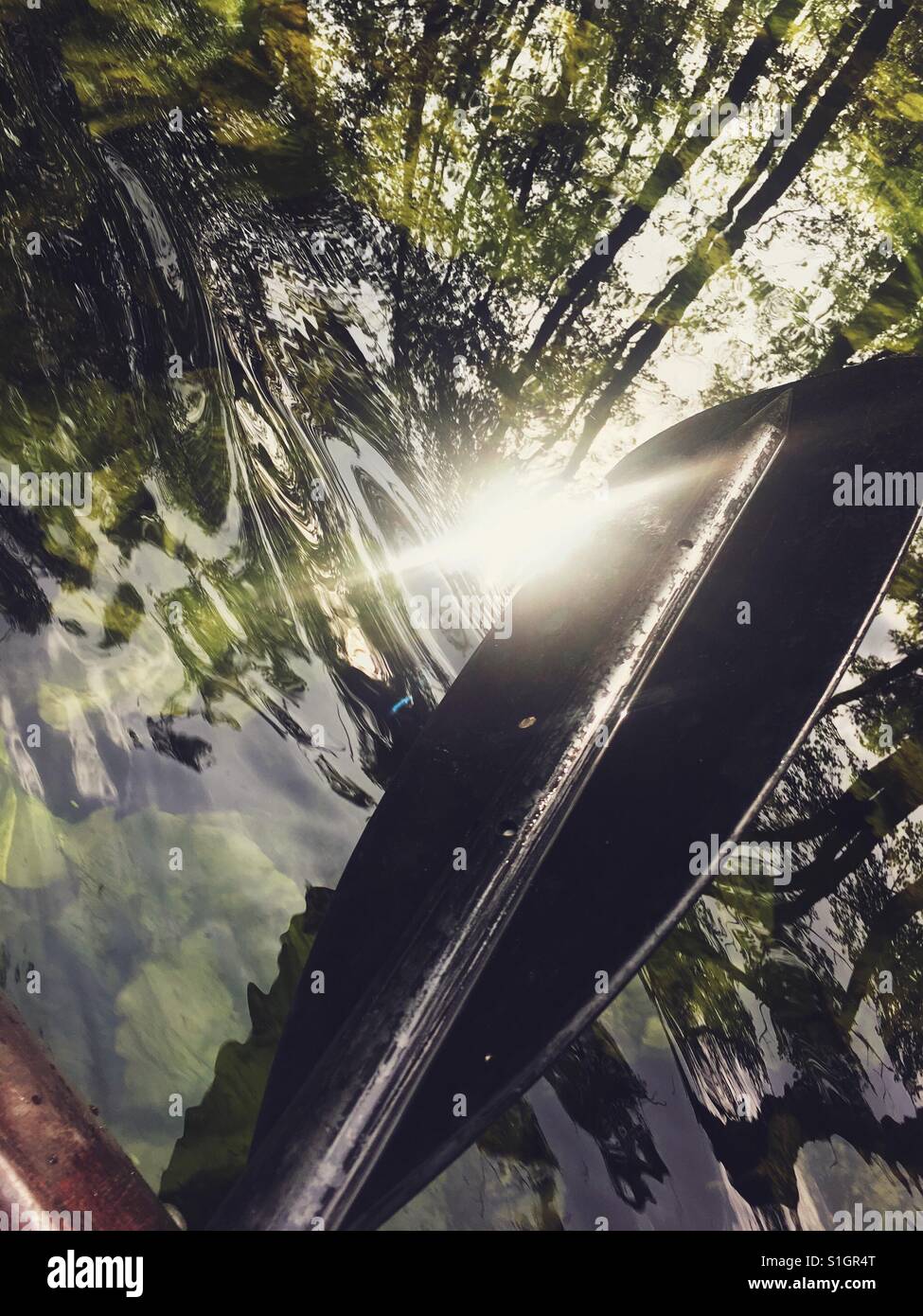 Plastic canoe Paddle with sun reflecting of the water and tree ...
