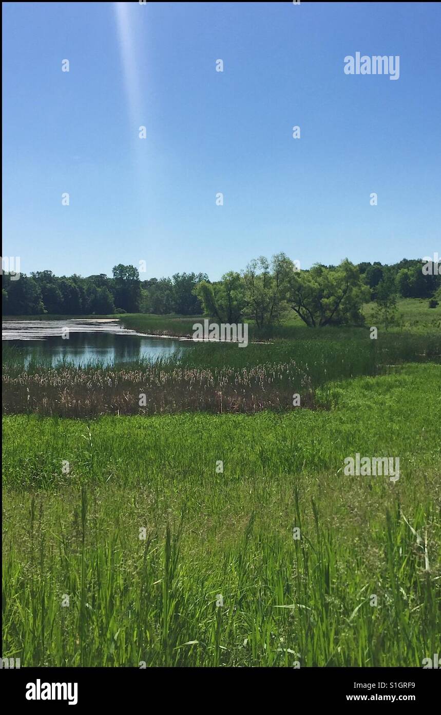 Lake elmo park hi-res stock photography and images - Alamy