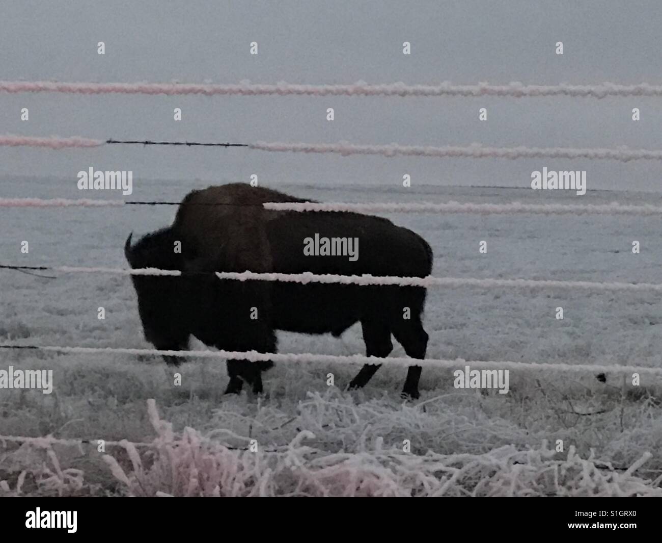 Rush ranch hi-res stock photography and images - Alamy
