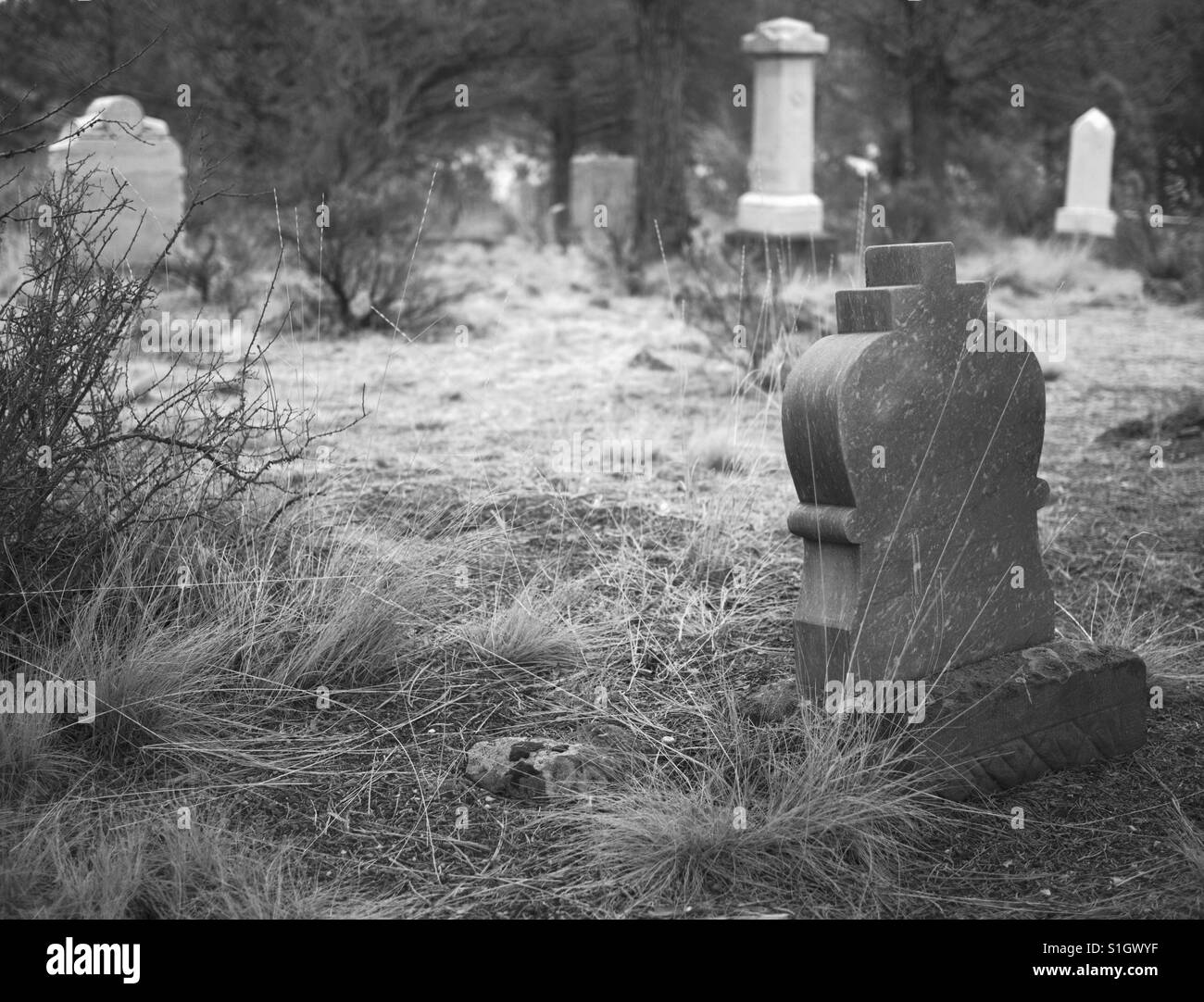 A spooky old Pioneer Graveyard with leaning headstones in the rural ...