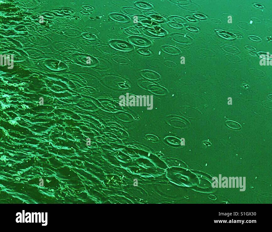 Green ripples hi-res stock photography and images - Alamy