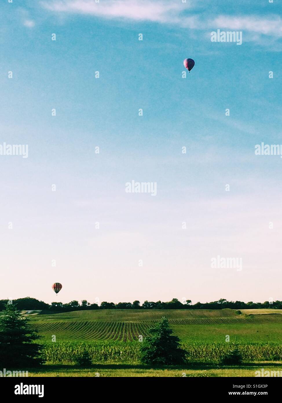 Hot air balloons over a field Stock Photo - Alamy