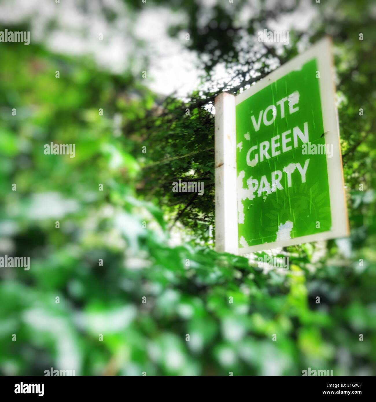 General Election - Green Party sign Stock Photo - Alamy