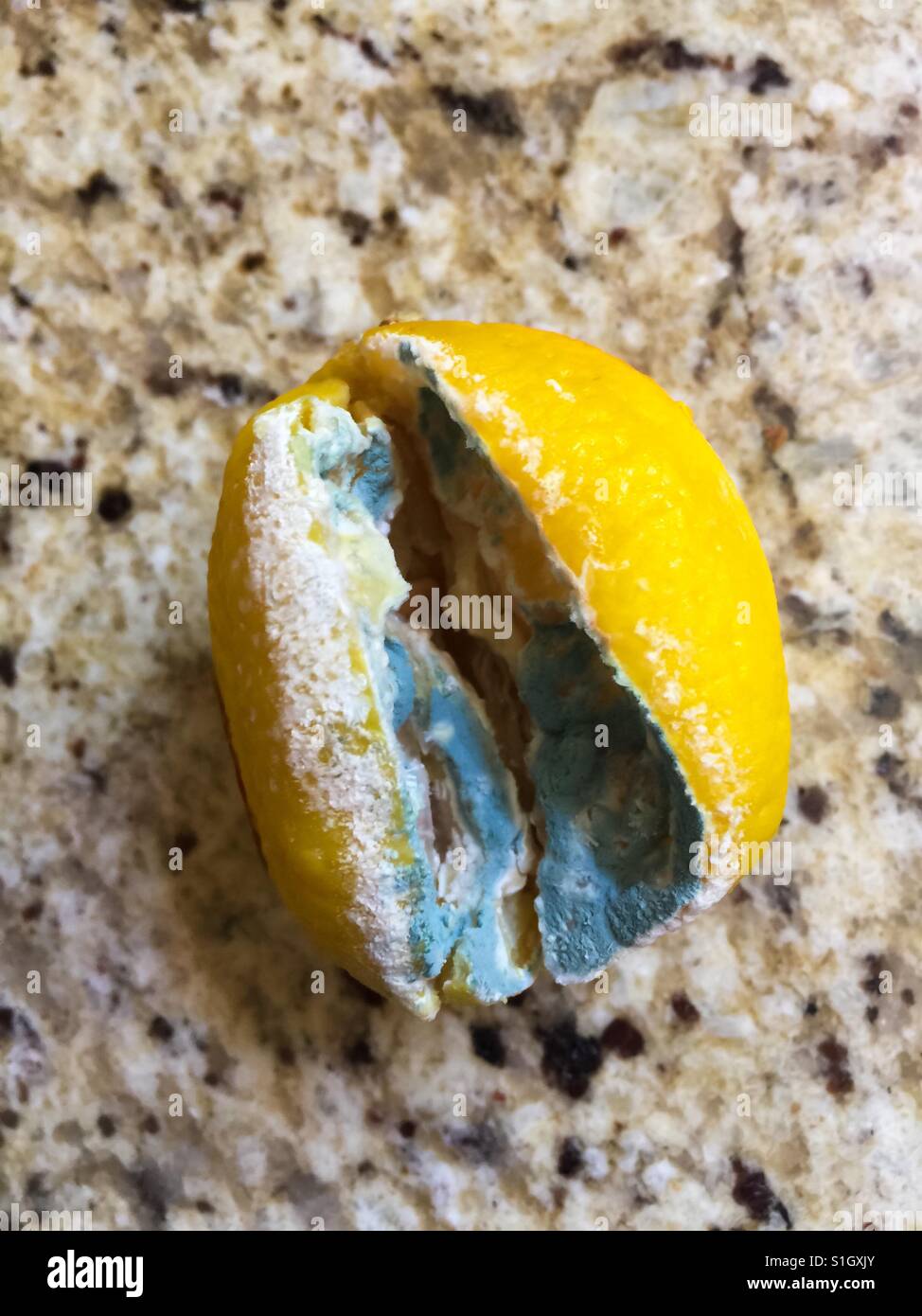 One mouldy yellow lemon on a granite counter, with a wedge cut out ...