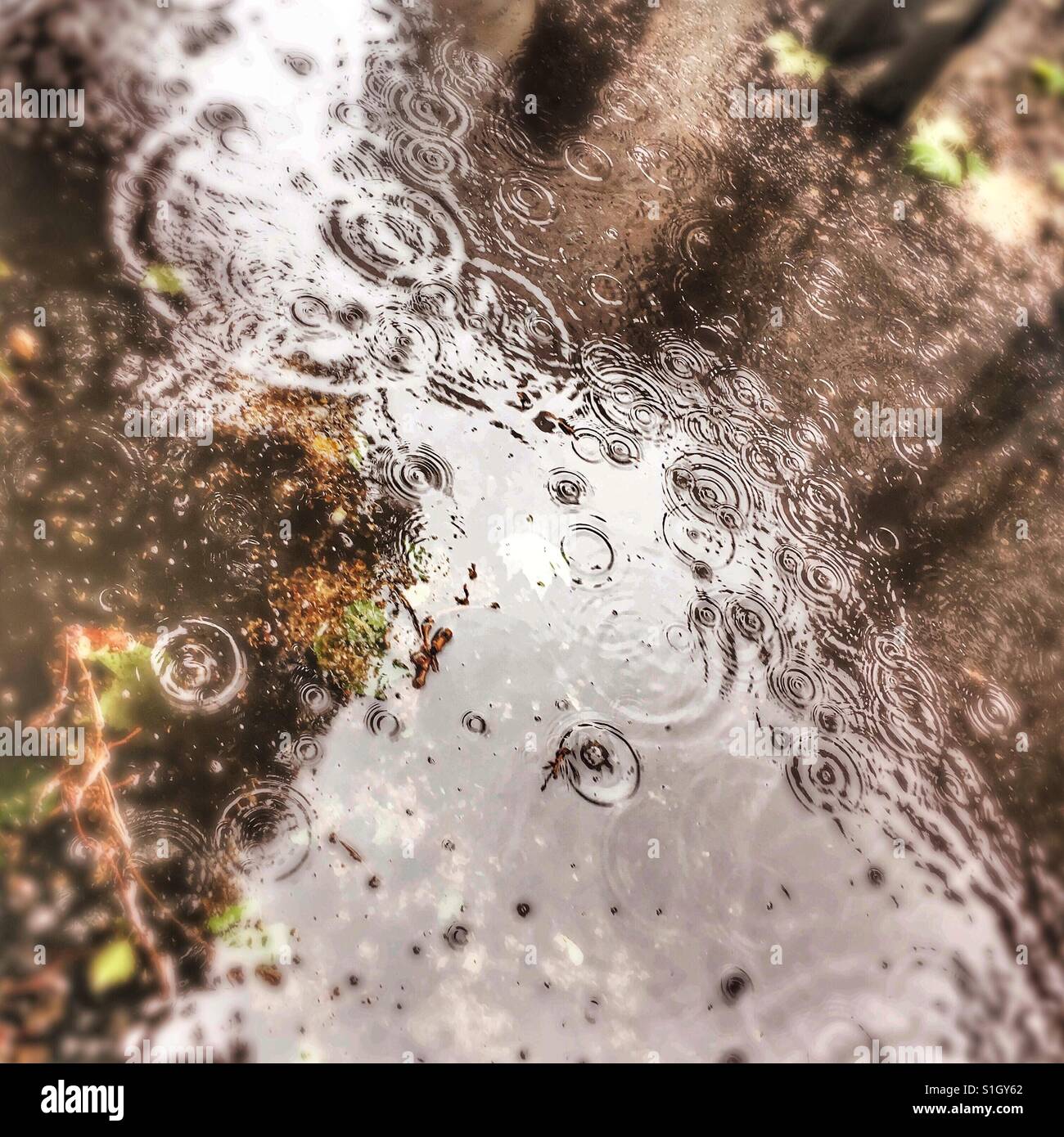 Puddle Of Rainwater On Pavement High Resolution Stock Photography and Images - Alamy