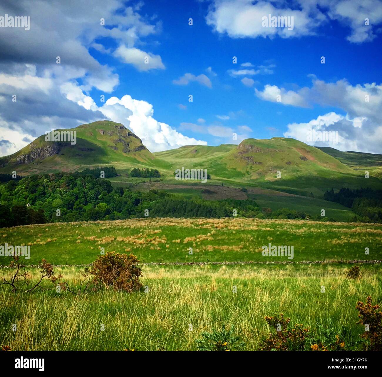 Campsie Fells High Resolution Stock Photography and Images - Alamy