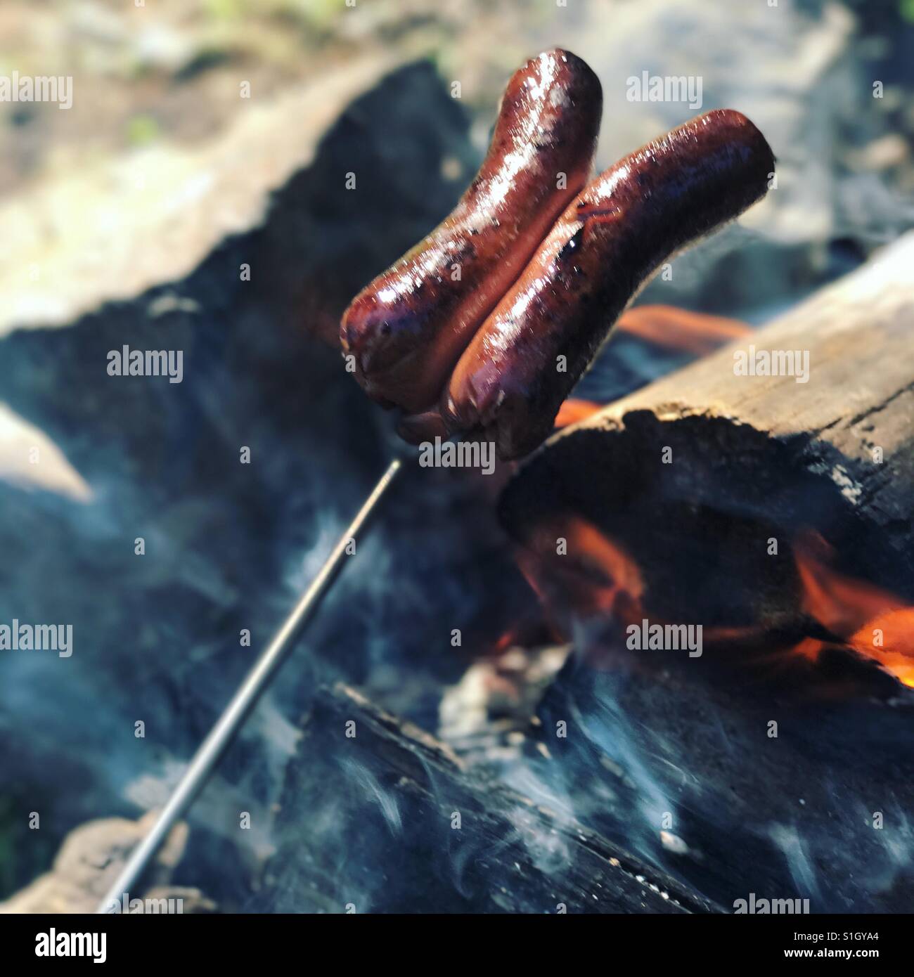 Hot Dogs on a Campfire Stock Photo - Alamy