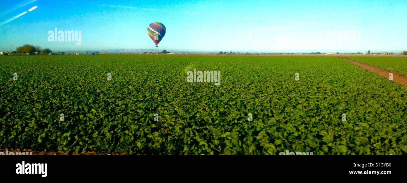 Hot air balloon over a green crop Stock Photo - Alamy