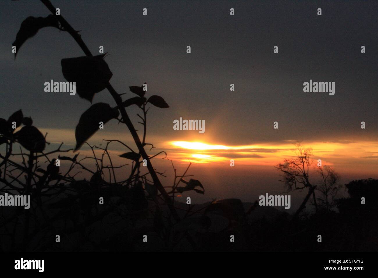 Golden color skyline during sunset hi-res stock photography and images ...
