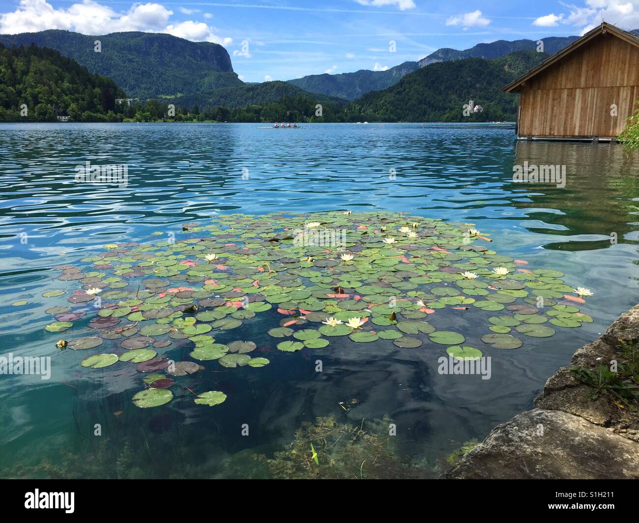 Spring at lake bled hi-res stock photography and images - Alamy