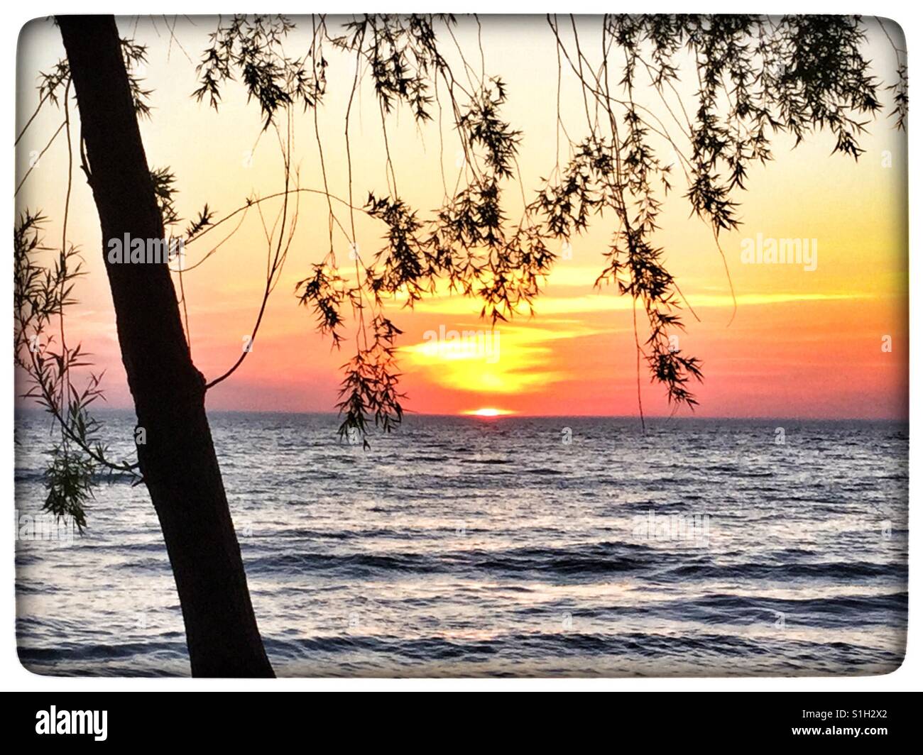 Beautiful warm sunset Stock Photo - Alamy