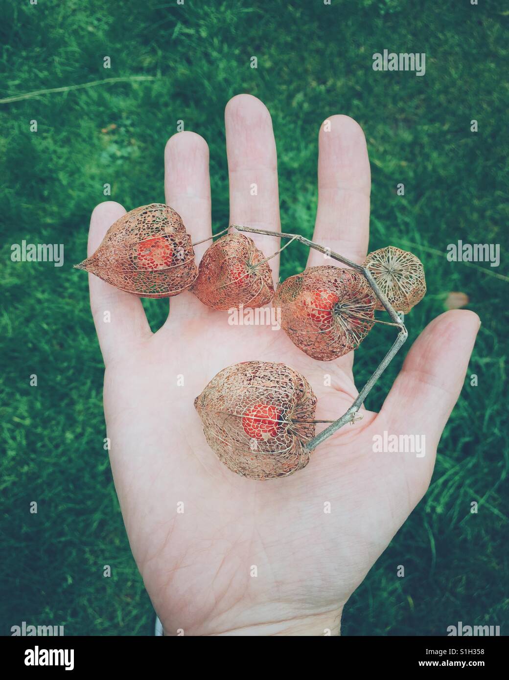 Withered hand hi-res stock photography and images - Alamy