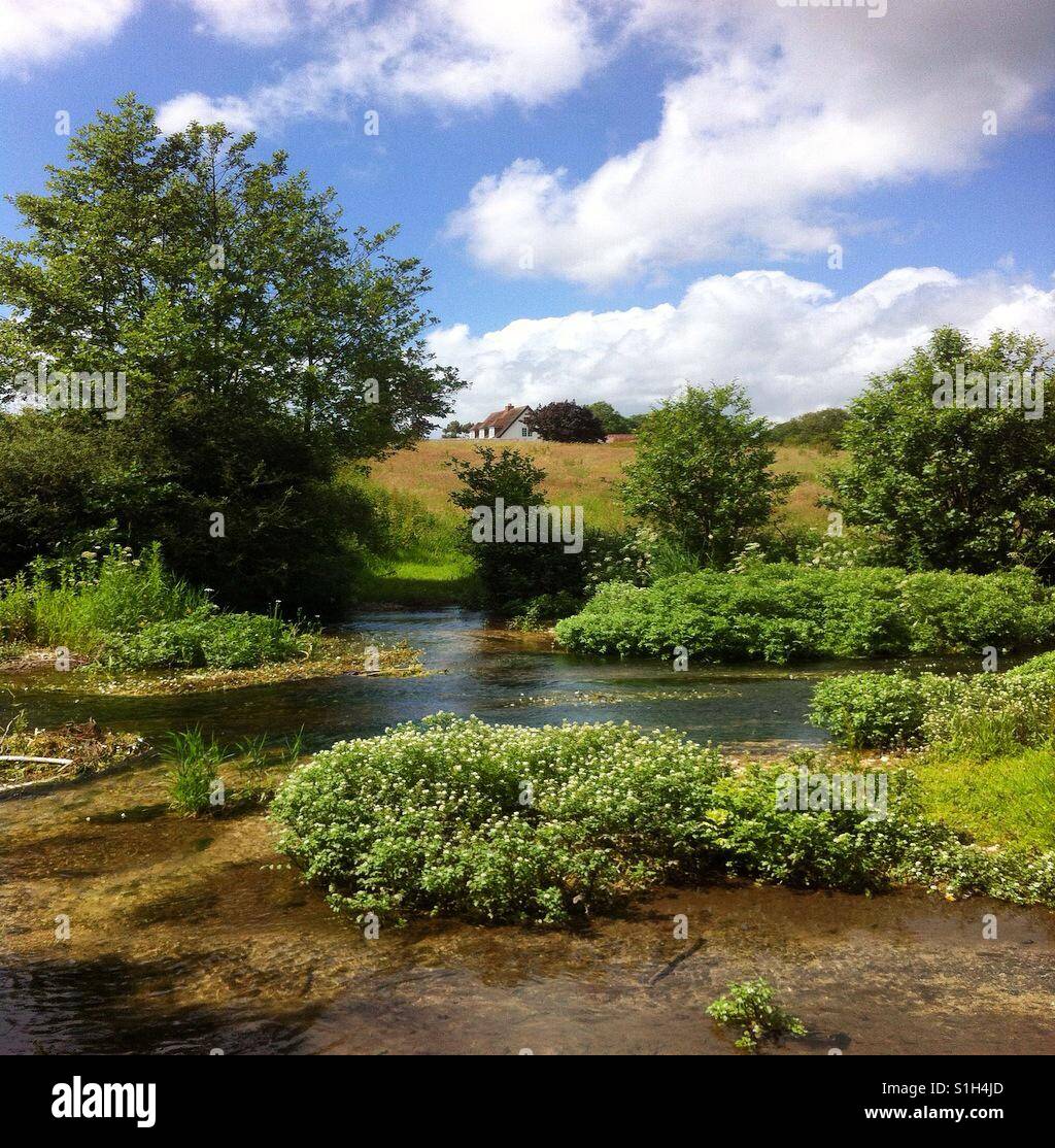 River Meon High Resolution Stock Photography and Images - Alamy