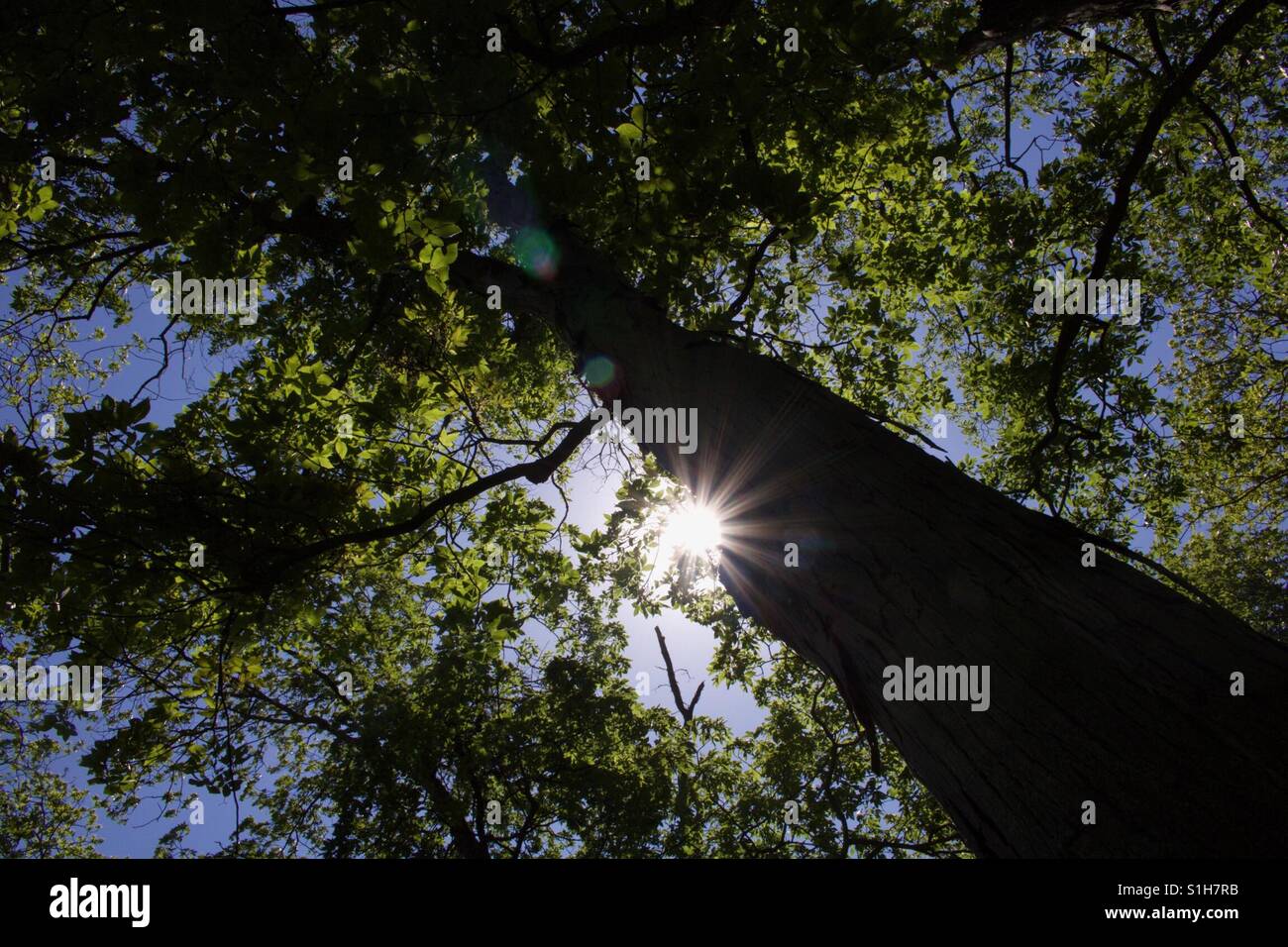 Day shade hi-res stock photography and images - Alamy
