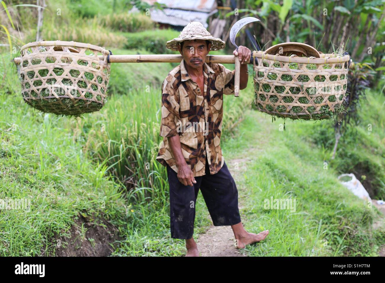 Paddie hi-res stock photography and images - Alamy