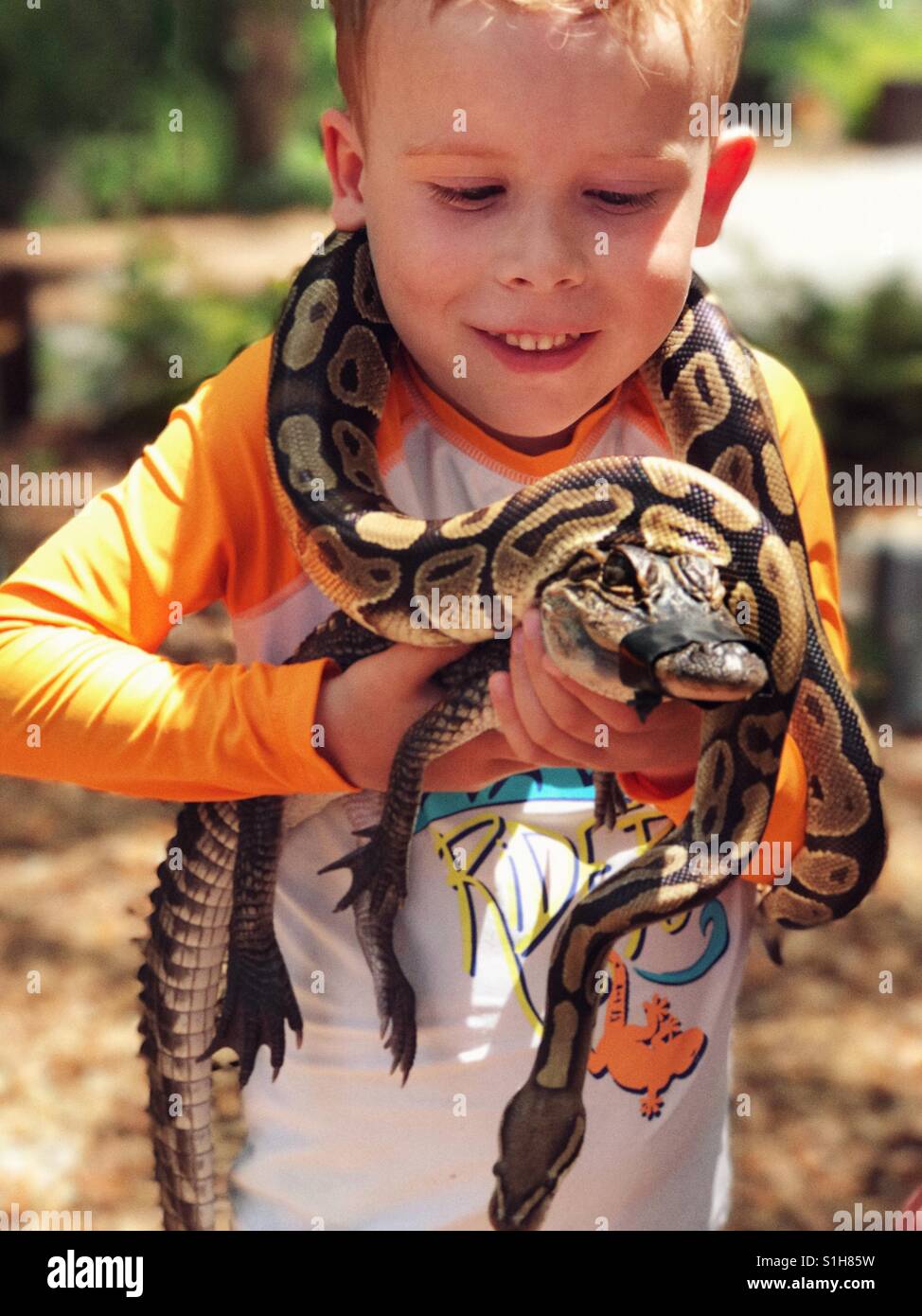 Young boy happily holding alligator and snake Stock Photo - Alamy