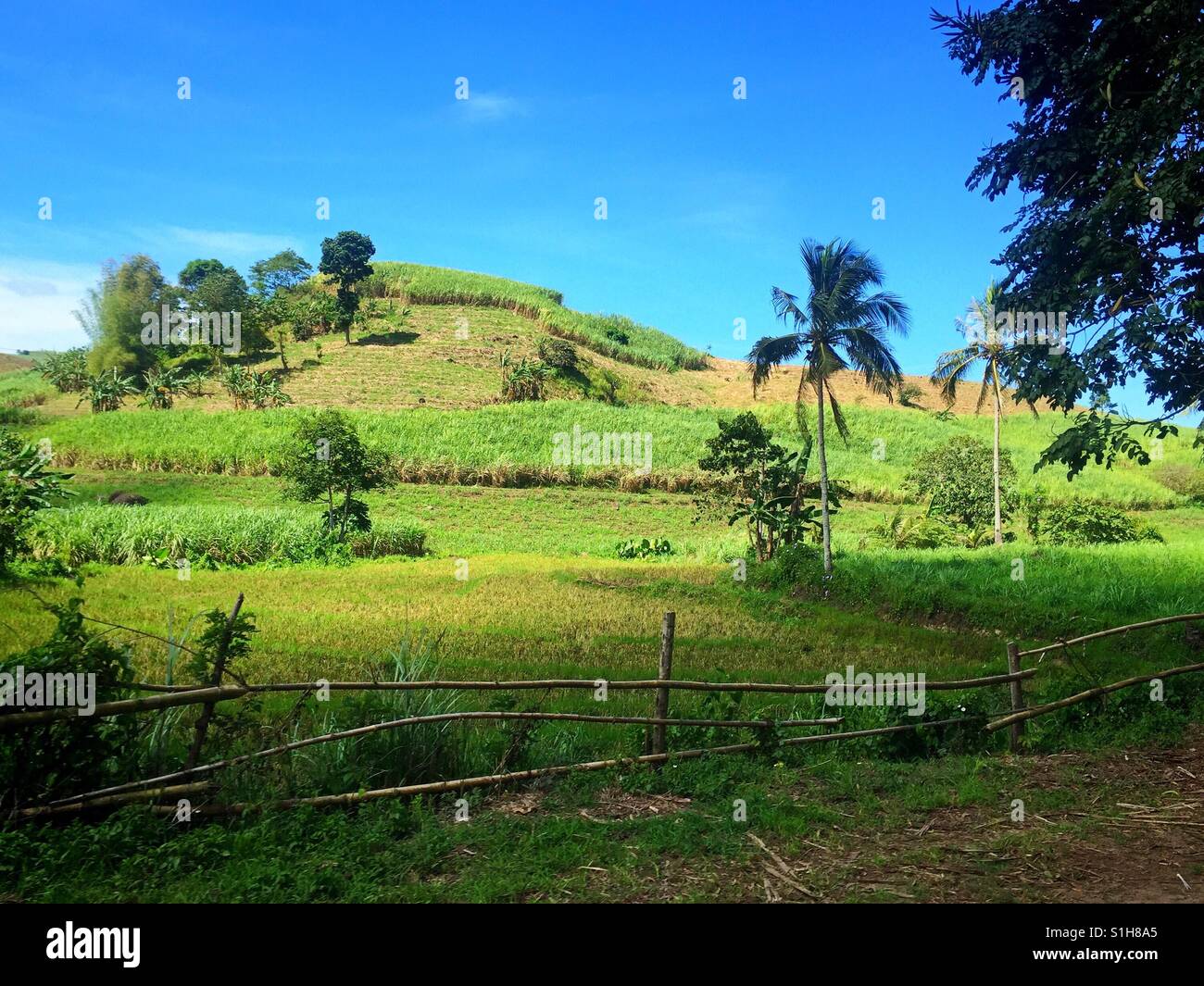 This is the view when I travel to Canlaon City, Negros Oriental ...