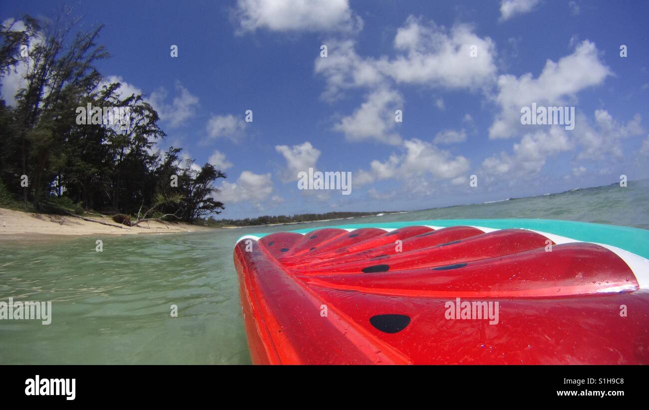 Watermelon floatie at the beach Stock Photo - Alamy