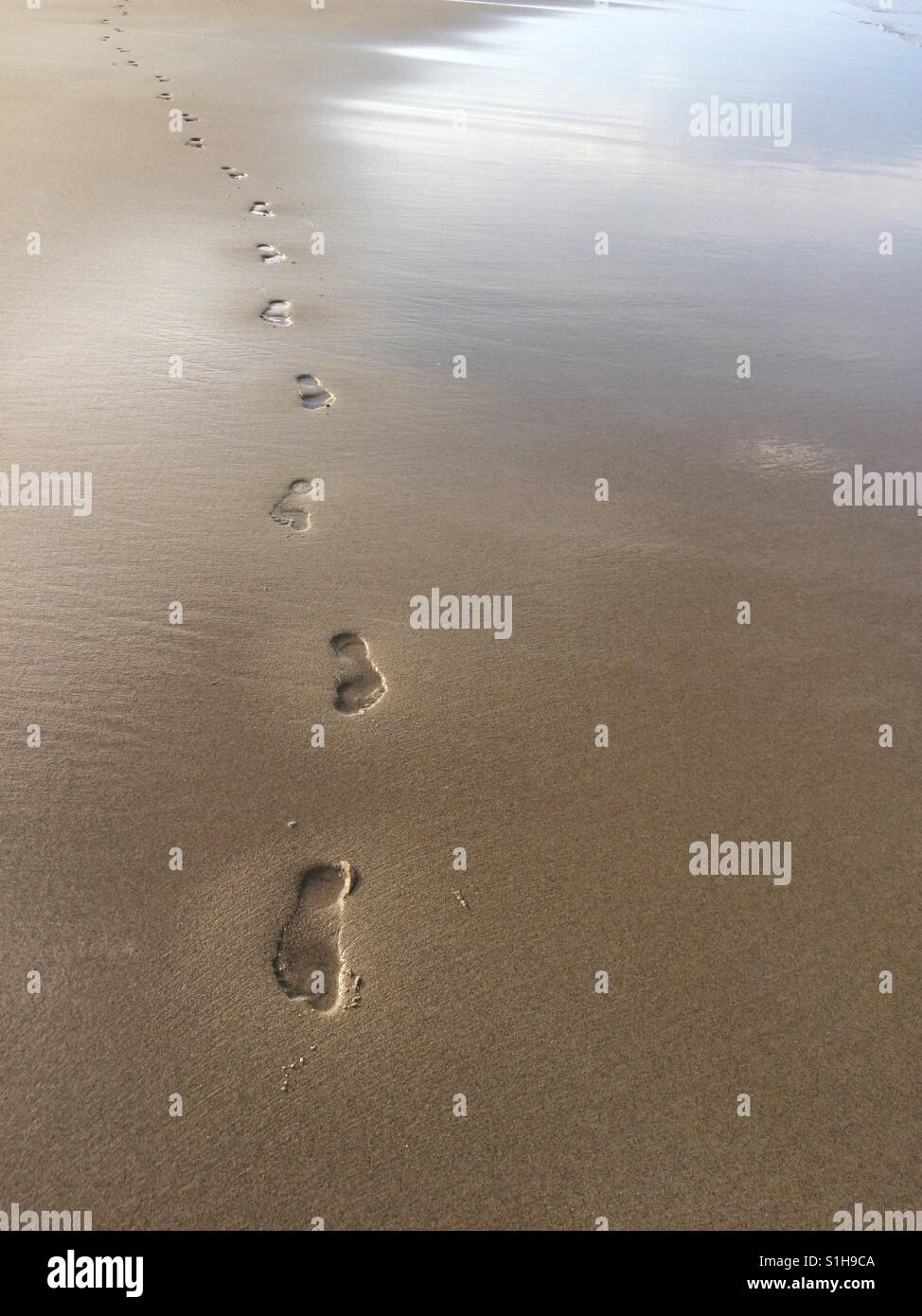 Footprints in beach sand Stock Photo - Alamy