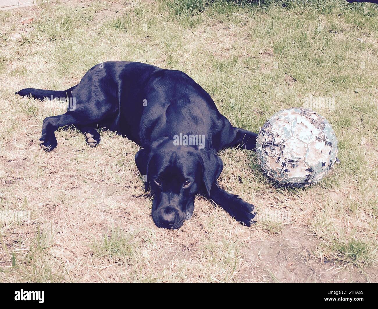 Football break hi-res stock photography and images - Alamy