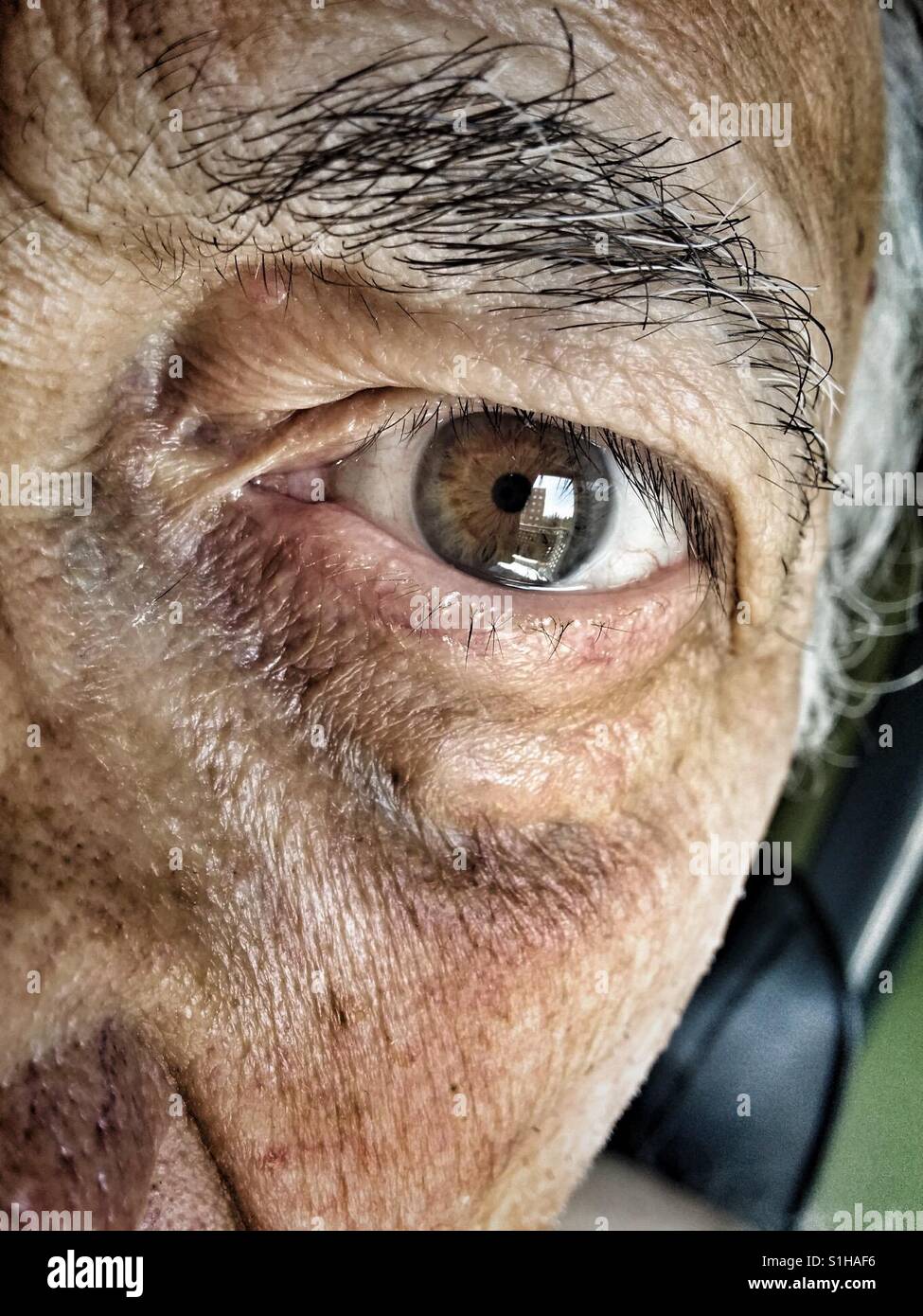 Widsom hi-res stock photography and images - Alamy